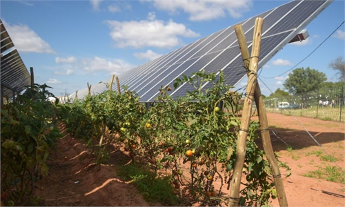Botswana launches first Agrivoltaic project to harness solar power ...