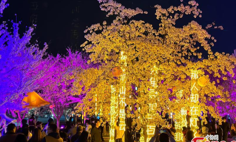 Cherry blossoms with colorful lights dazzle Yantai - Global Times