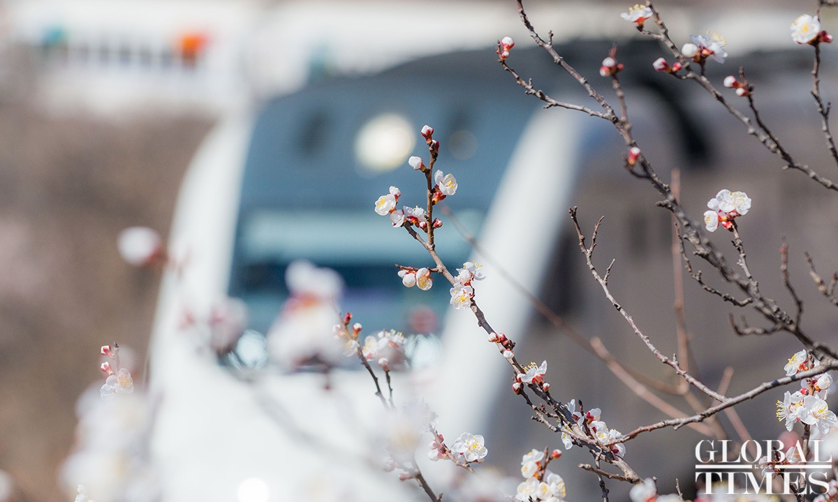 Train heads for spring - Global Times