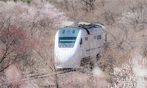 Train heads for spring - Global Times
