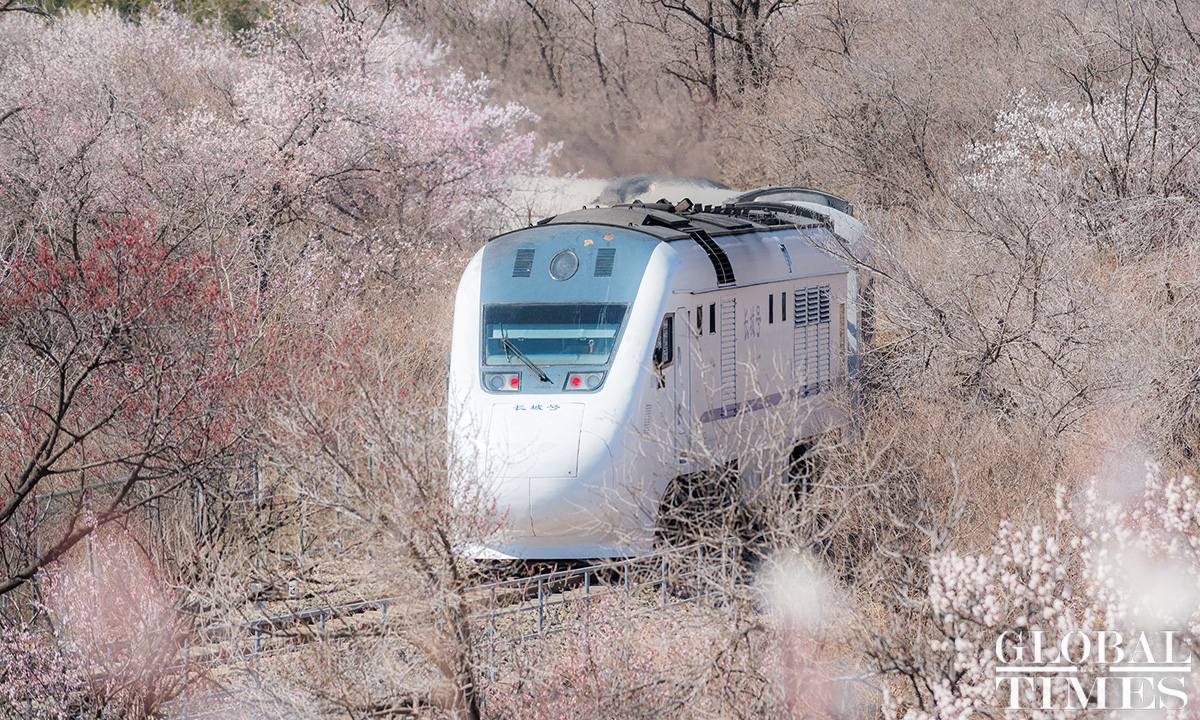 Train heads for spring - Global Times