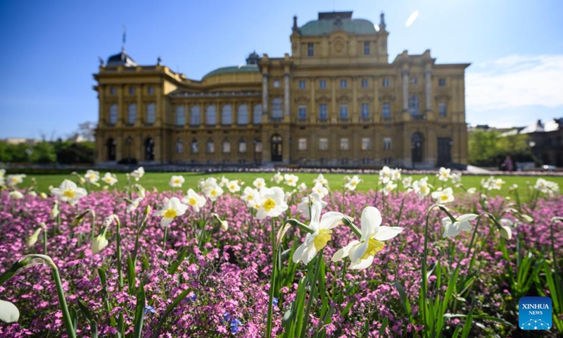 View of spring flowers in Croatia - Global Times