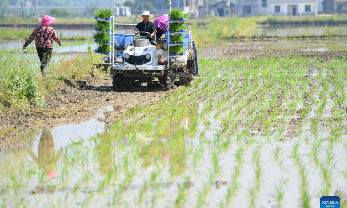 Farmers busy with spring ploughing in China's Hunan - Global Times