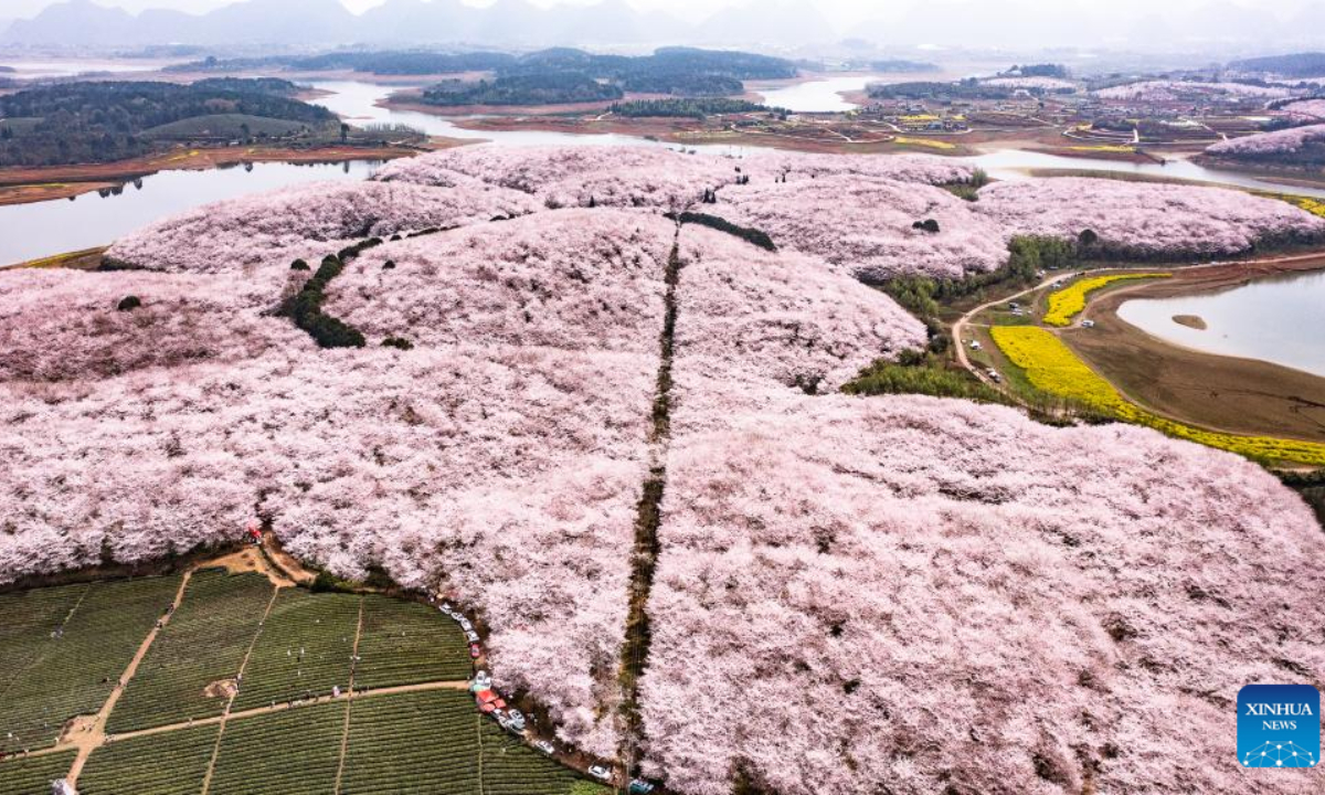 Spring scenery in SW China - Global Times