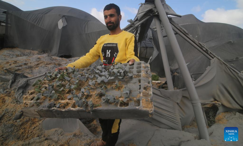 People inspect damaged greenhouses in southern Gaza Strip city of Rafah ...