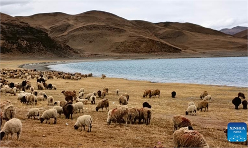 Scenery of Yamzbog Yumco Lake in China's Tibet - Global Times