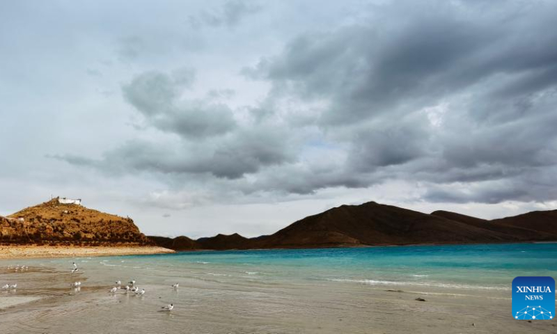 Scenery of Yamzbog Yumco Lake in China's Tibet - Global Times