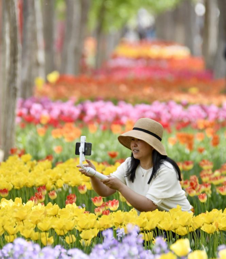 Tourists enjoy blooming flowers by Yongding River in Beijing - Global Times