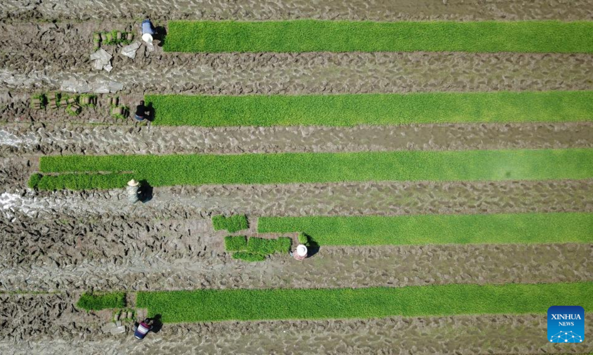 Farmers busy with spring ploughing in China's Hunan - Global Times