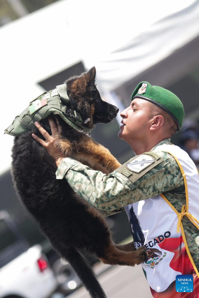 New search puppy given to Mexican military base as gift by Türkiye ...