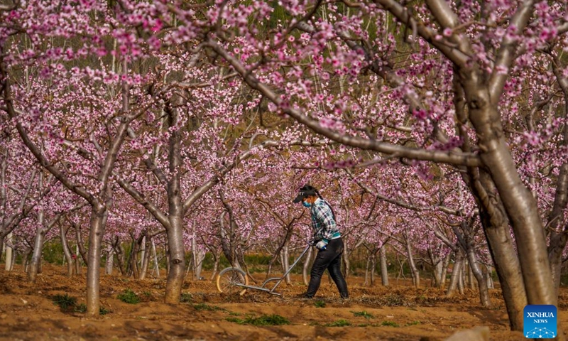 Spring ploughing in full swing across China - Global Times