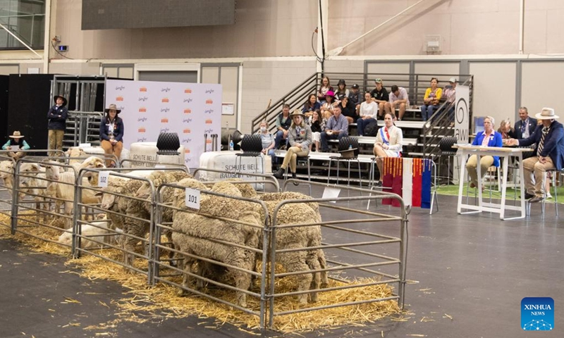 Highlights of Sydney Royal Easter Show - Global Times
