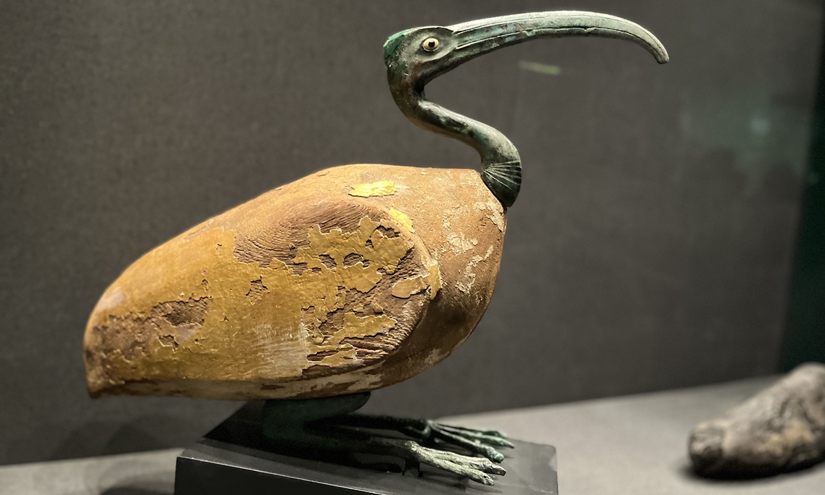 Rare relics and mummies spark culture exchange - Global Times