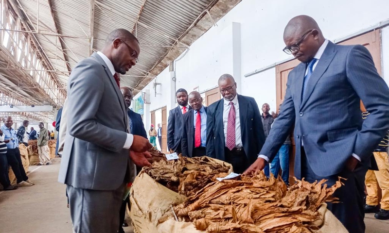Malawian tobacco farmers optimistic as prices get better - Global Times