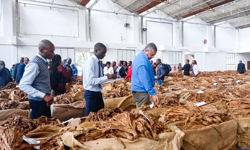 Malawian tobacco farmers optimistic as prices get better - Global Times