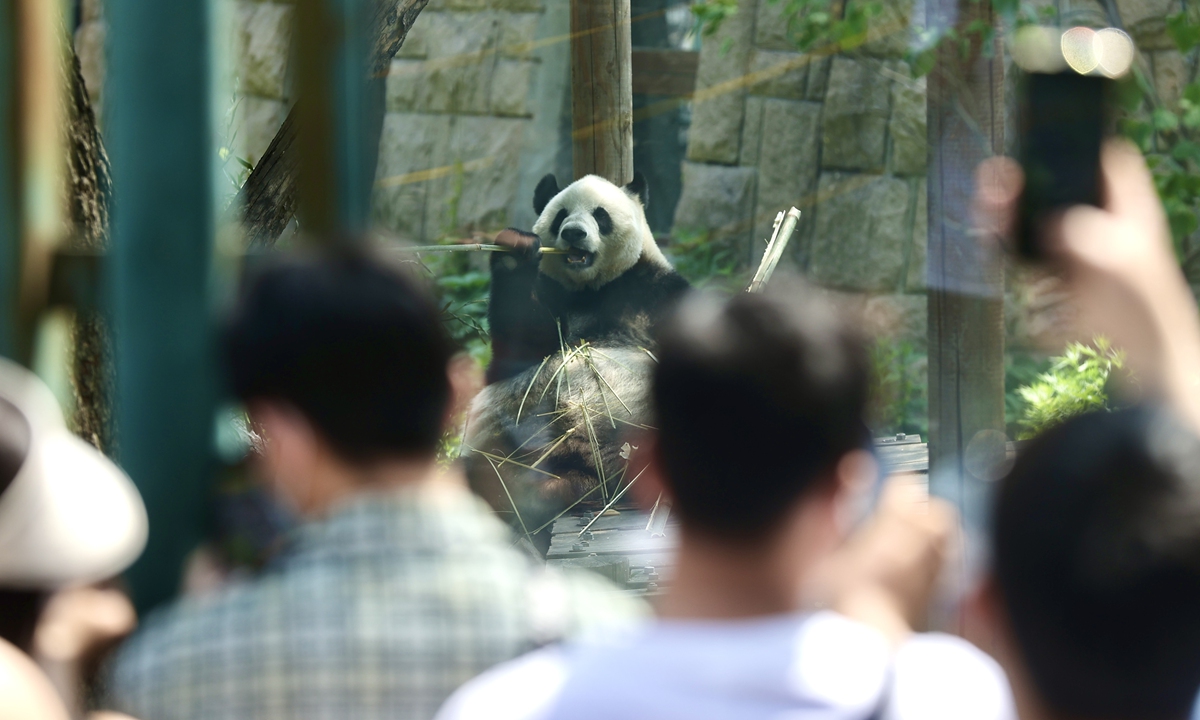 Holiday boom - Global Times