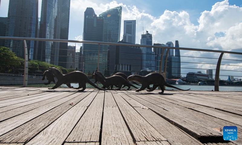 World Otter Day marked in Singapore - Global Times