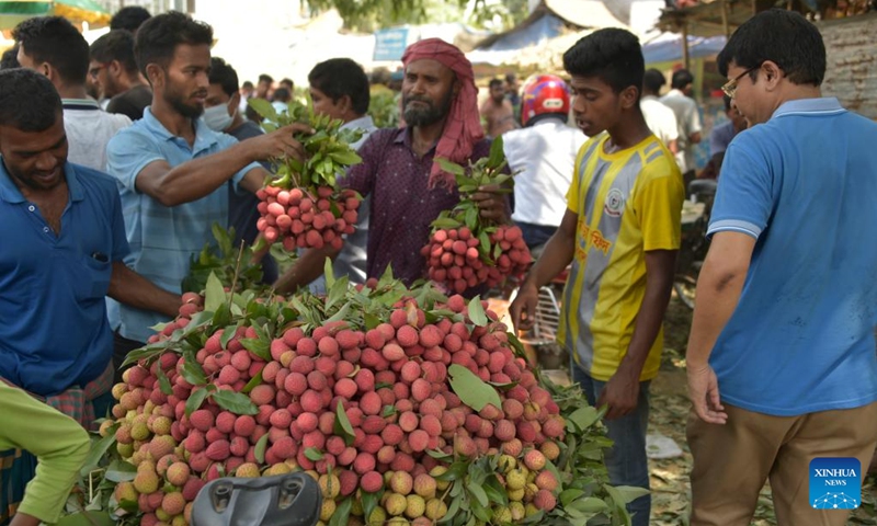 Lychee season in full swing in Bangladesh - Global Times