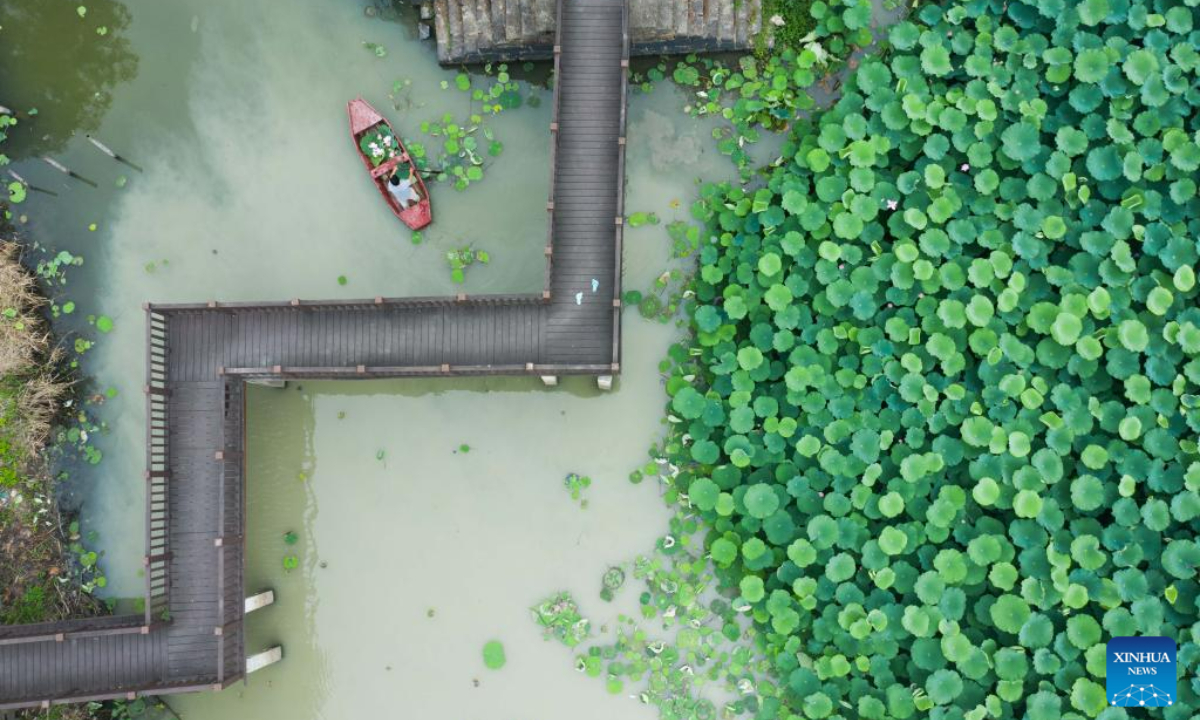 Donglin Town in E China focuses on green, sustainable development ...