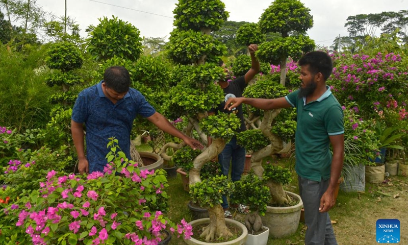 National Tree Fair kicks off in Dhaka, Bangladesh - Global Times