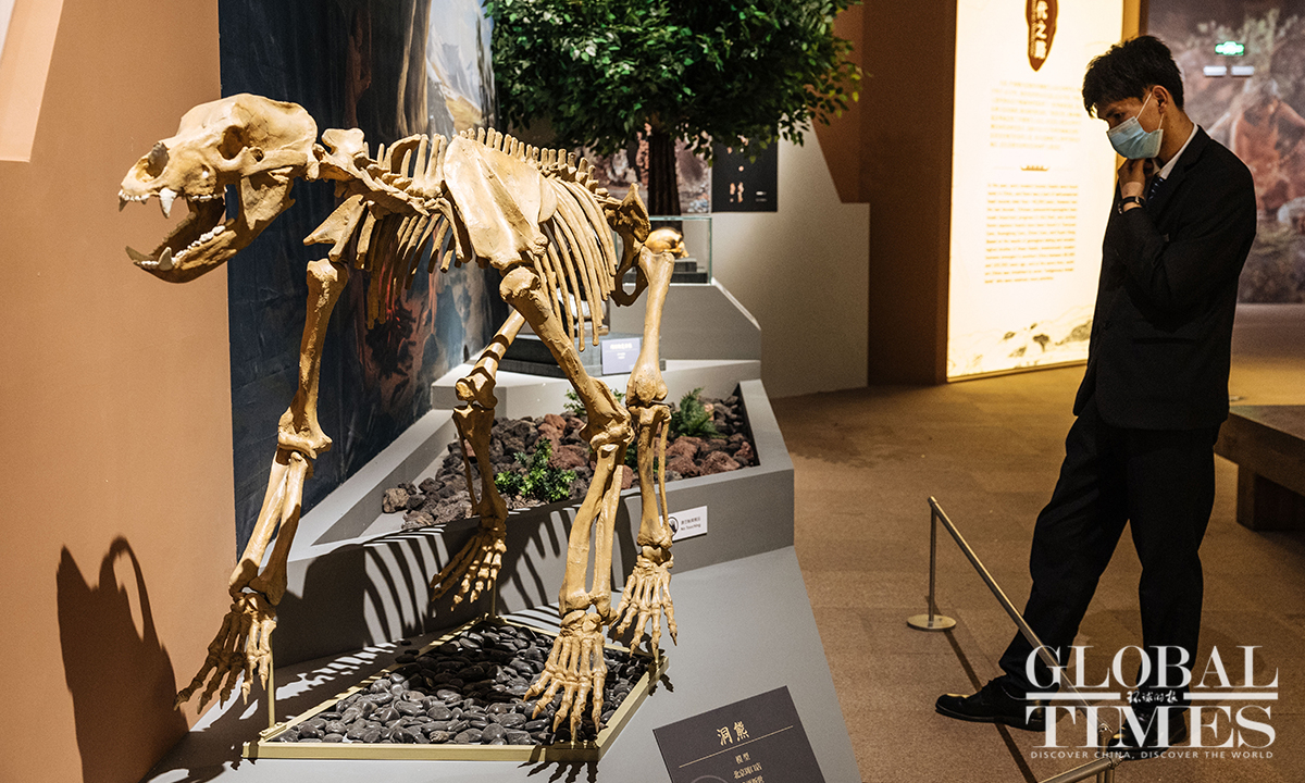 Exhibition on human history in China opens in Beijing - Global Times
