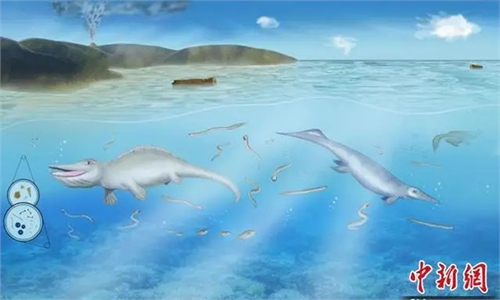 Fossilized teeth from Early Triassic found in Hubei Province - Global Times