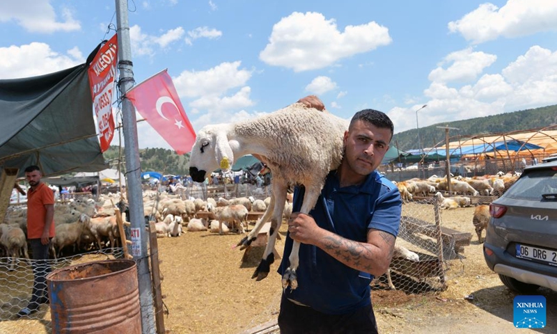 Sheep for sale during Eid al-Adha in Türkiye - Global Times