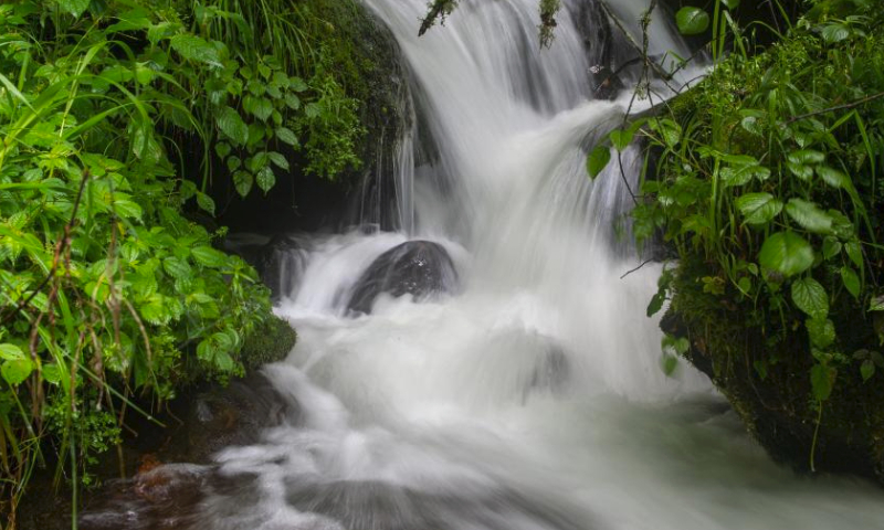 Summer scenery of Shannan city in Tibet - Global Times