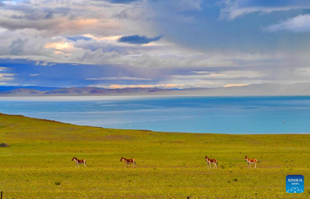 Scenery of Zhari Namco Lake in Ali, Tibet - Global Times