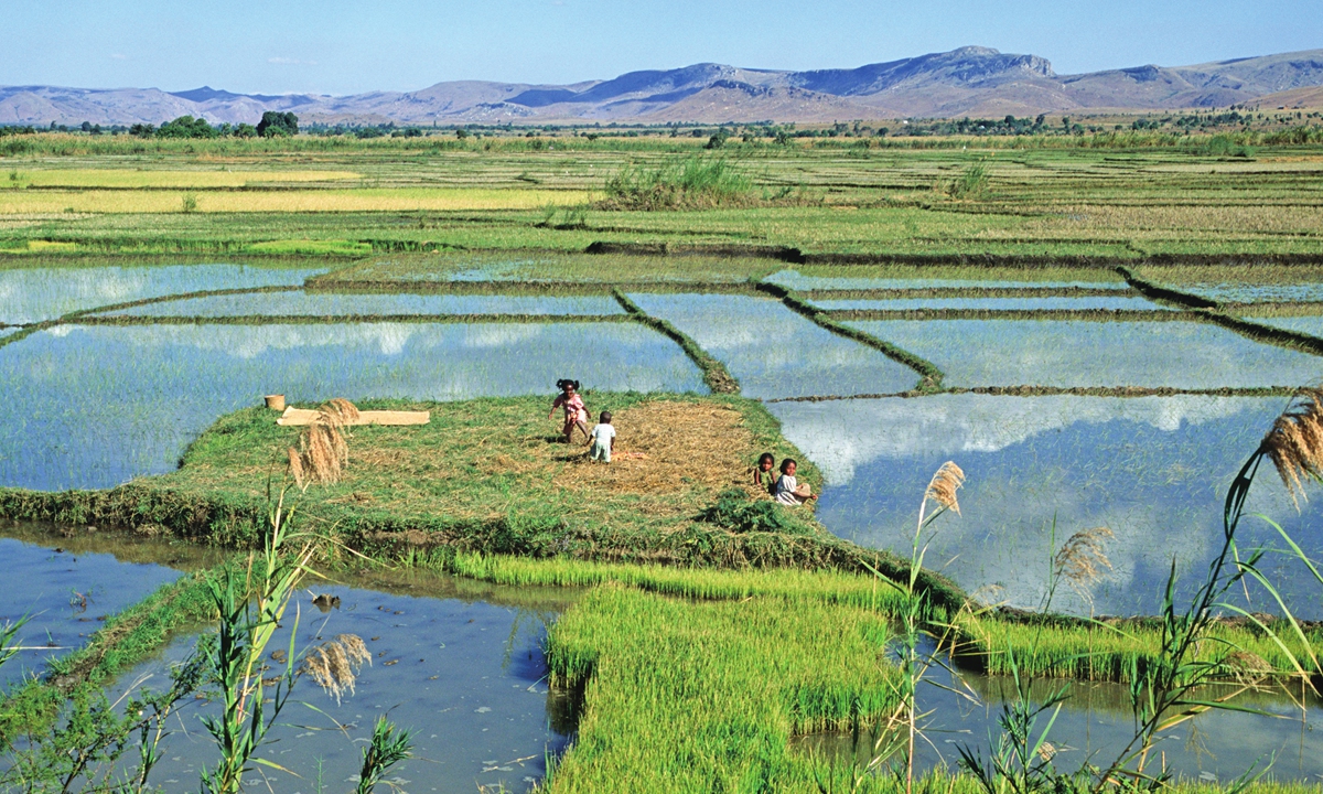 BRI adds new impetus to friendly exchanges between China, Madagascar ...