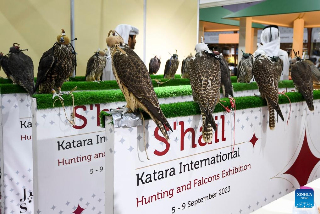 Katara Int'l Hunting and Falcons Exhibition 2023 held in Doha, Qatar ...
