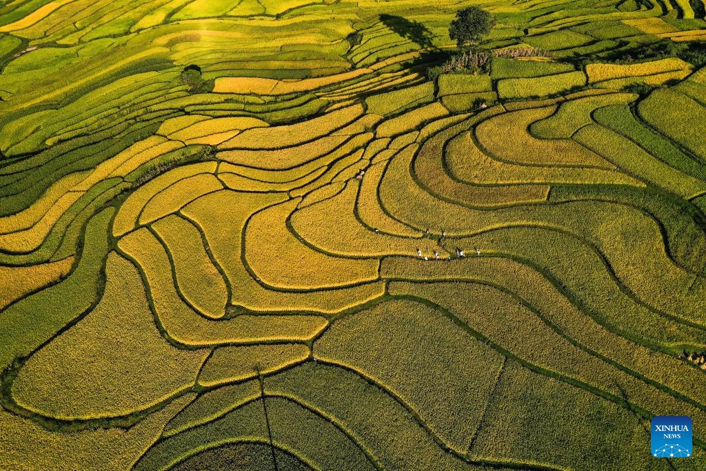 Scenery of Lali terraced fields in Yanshan Township, SW China - Global ...