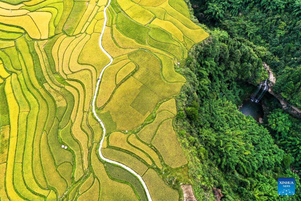 Scenery of Lali terraced fields in Yanshan Township, SW China - Global ...
