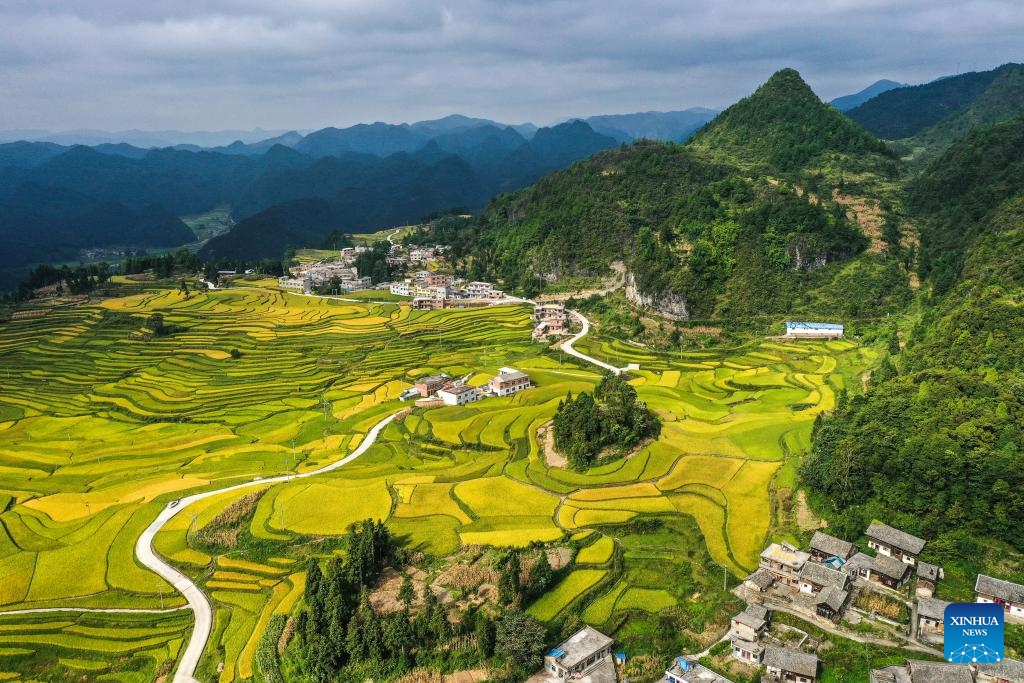 Scenery of Lali terraced fields in Yanshan Township, SW China - Global ...