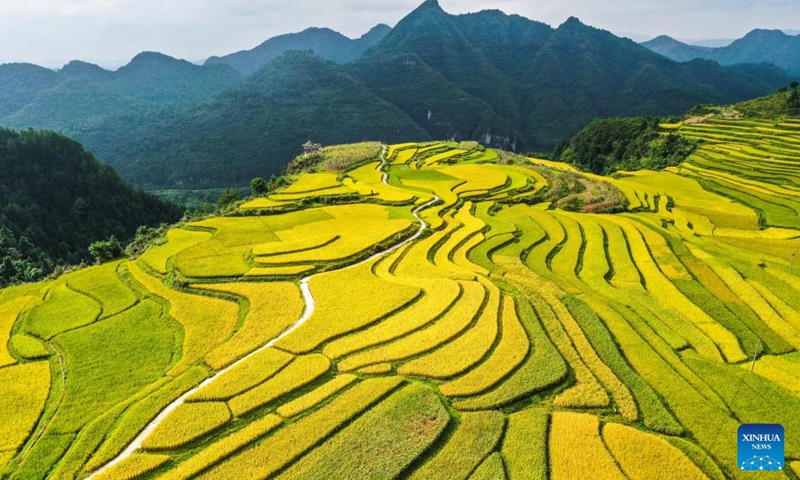 Scenery of Lali terraced fields in Yanshan Township, SW China - Global ...