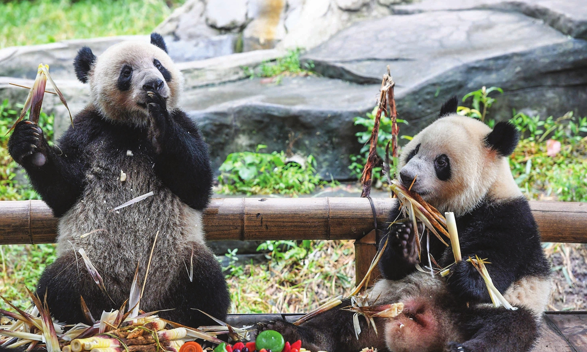 Happy birthday to us! - Global Times