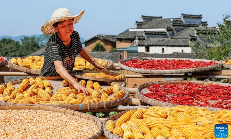 Villagers dry crops in Huangshan, E China's Anhui - Global Times