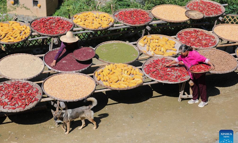 Villagers dry crops in Huangshan, E China's Anhui - Global Times