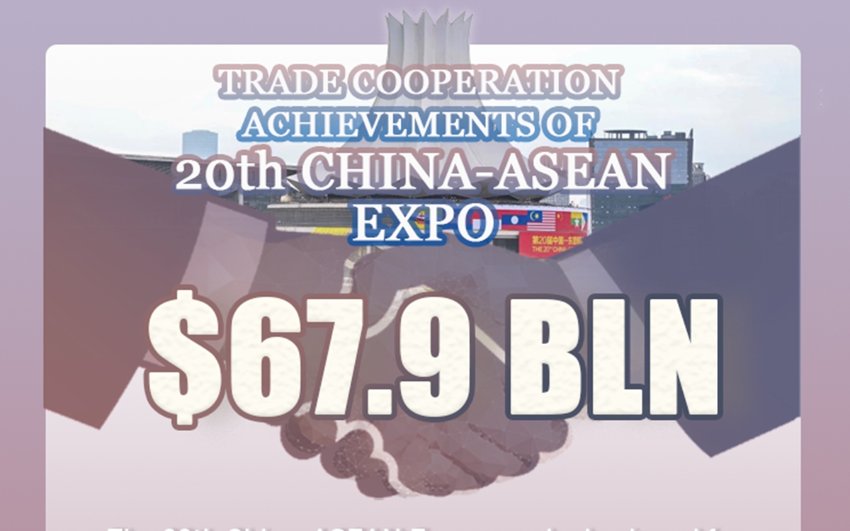 Trade cooperation achievements of the 20th China-ASEAN Expo - Global Times