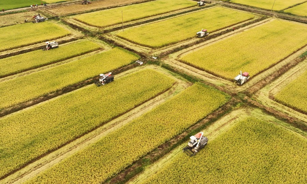 Chinese policy bank ups loan support for farmland cultivation - Global ...