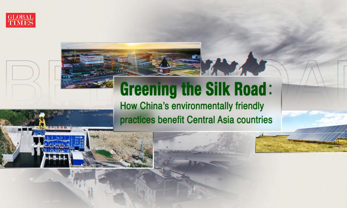 A Greener Silk Road: How China’s environmentally friendly practices ...