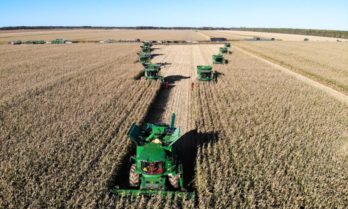 Farmers embrace corn harvest In NE China's Heilongjiang - Global Times