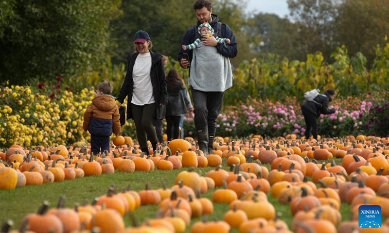 Pumpkin patch visit in Richmond, Canada - Global Times