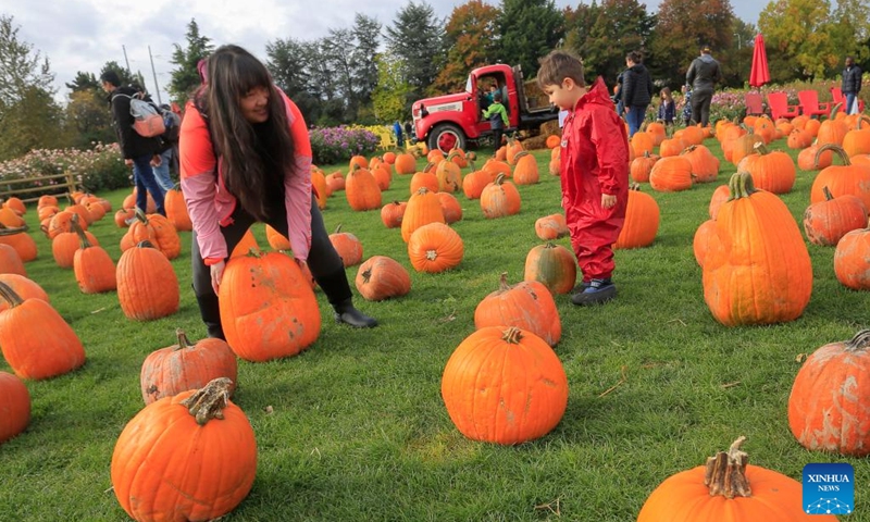 Pumpkin patch visit in Richmond, Canada - Global Times