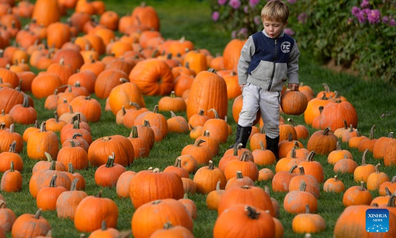 Pumpkin patch visit in Richmond, Canada - Global Times