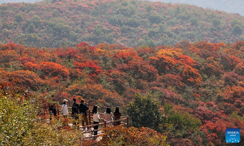 Autumn scenery across China - Global Times