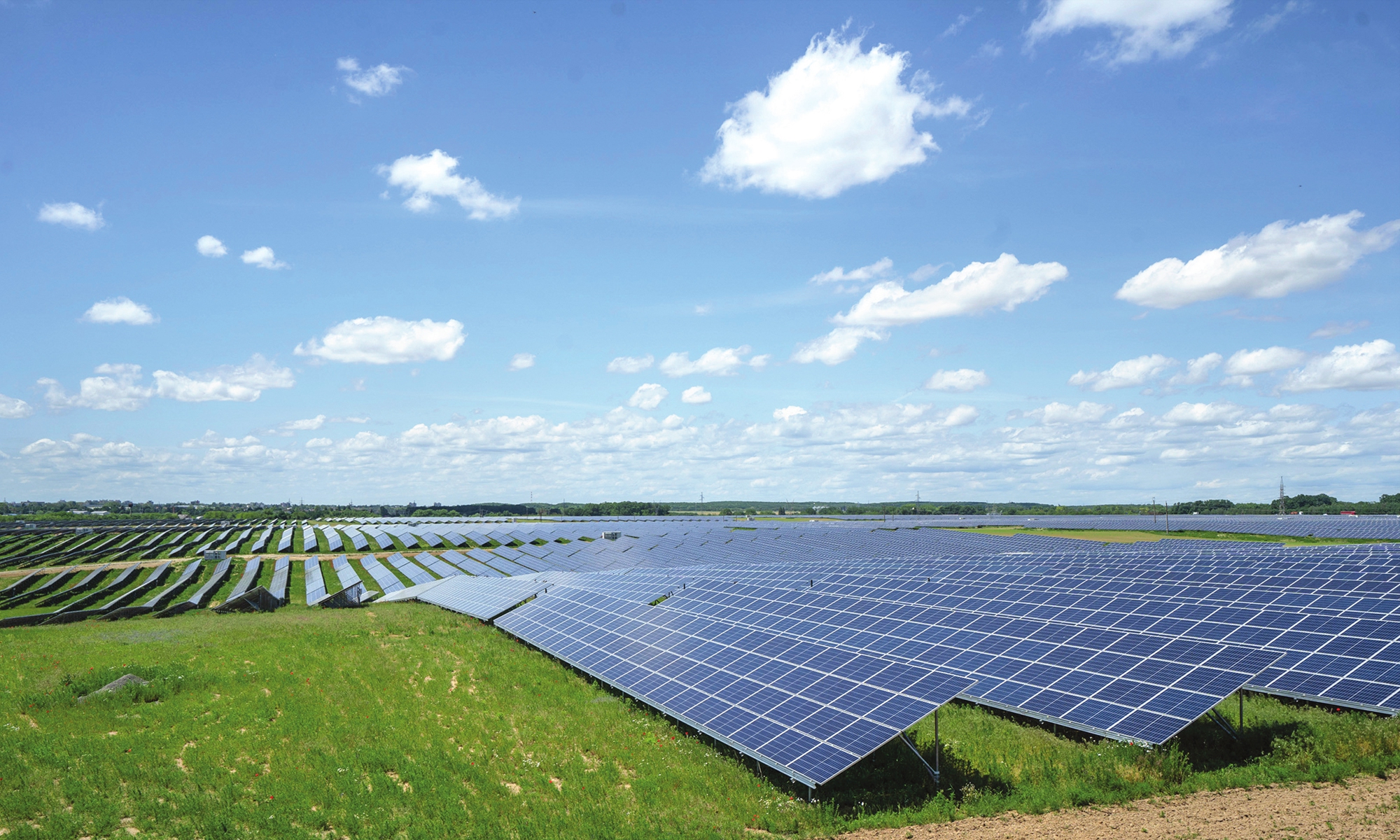 With focus on environmental protection, BRI champions spirit of green ...