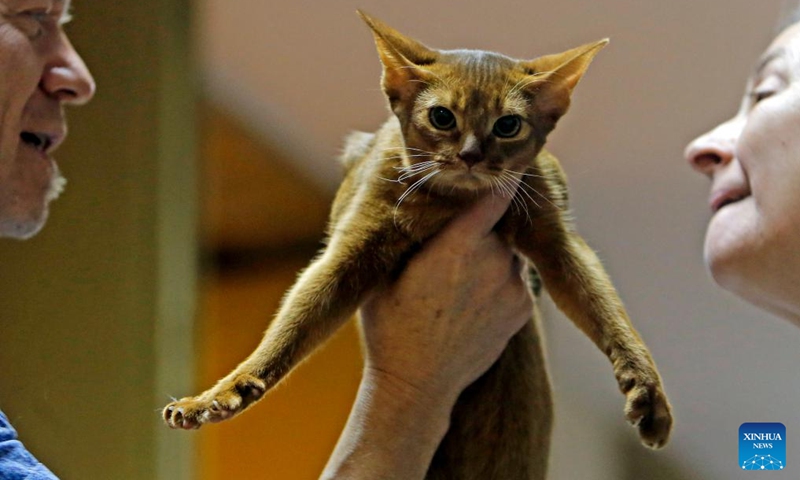 Sofisticat International Cat Show - Global Times
