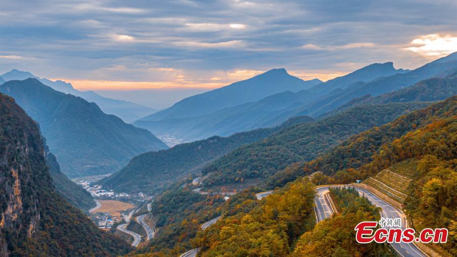 Fall colors paint Shengnongjia National Park - Global Times