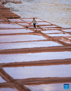 Salt fields in China's Tibet - Global Times